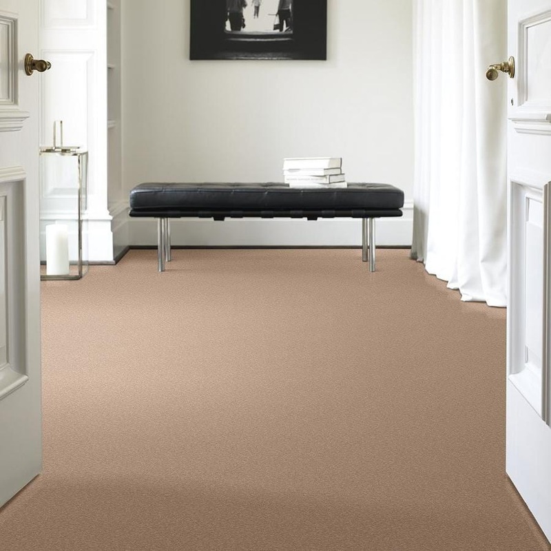 Home & Office Sophisticated Look 30 Azure Plush Carpet (Indoor ...