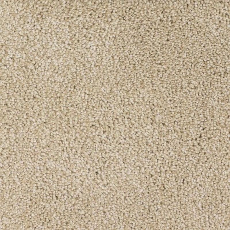 STAINMASTER Signature Briar Patch Canvas Textured Carpet (Indoor ...