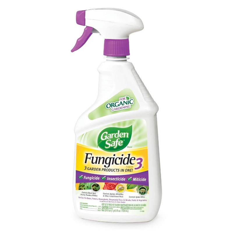 Garden Safe Fungicide 3 Organic Concentrated Liquid Fungicide 24 oz ...